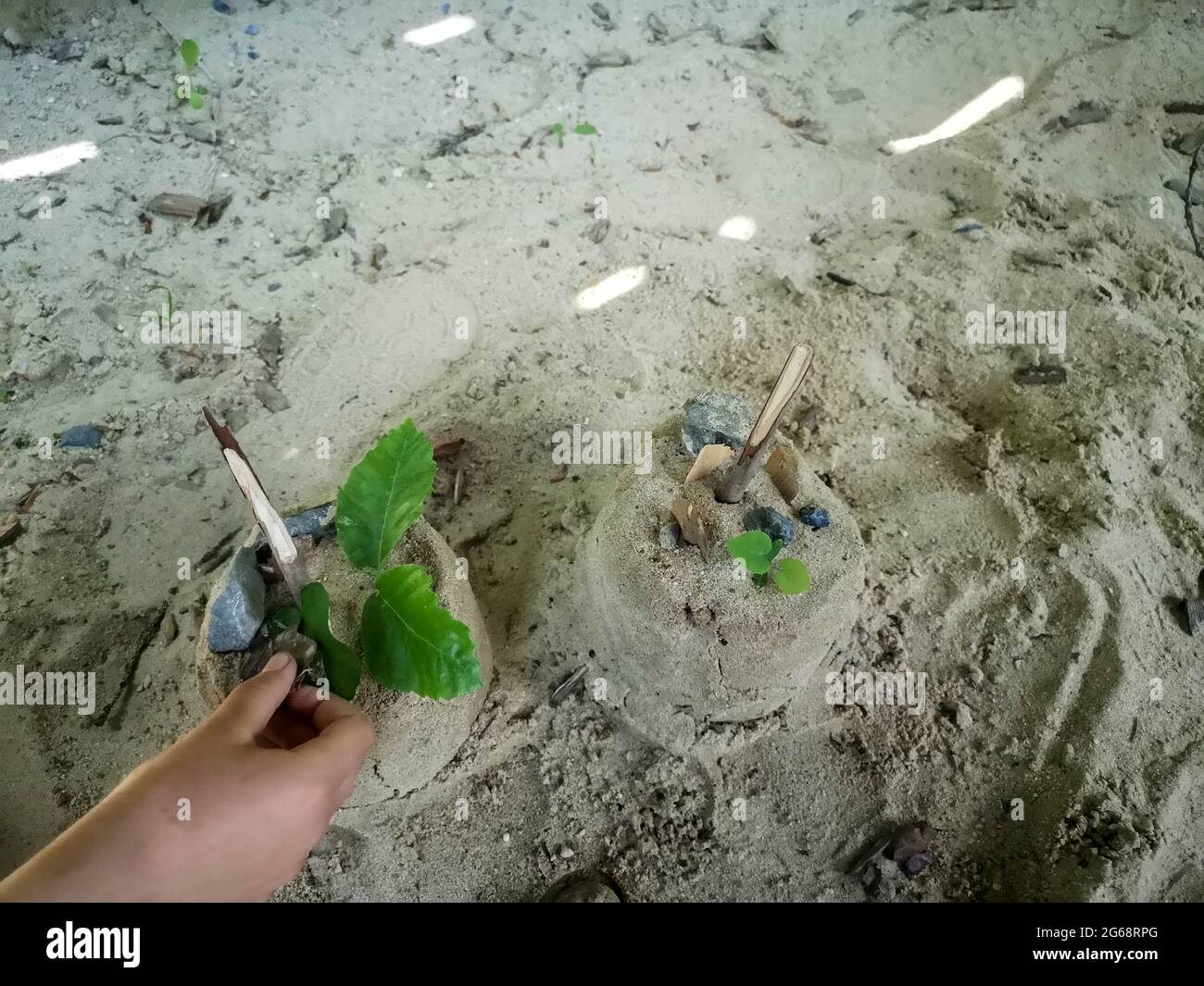 Cooking making forming sand cakes in a sand box Stock Photo - Alamy