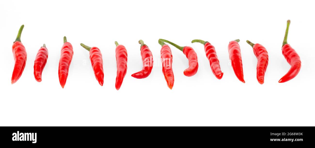 close up row line composition chilli red peppers isolated on white ...