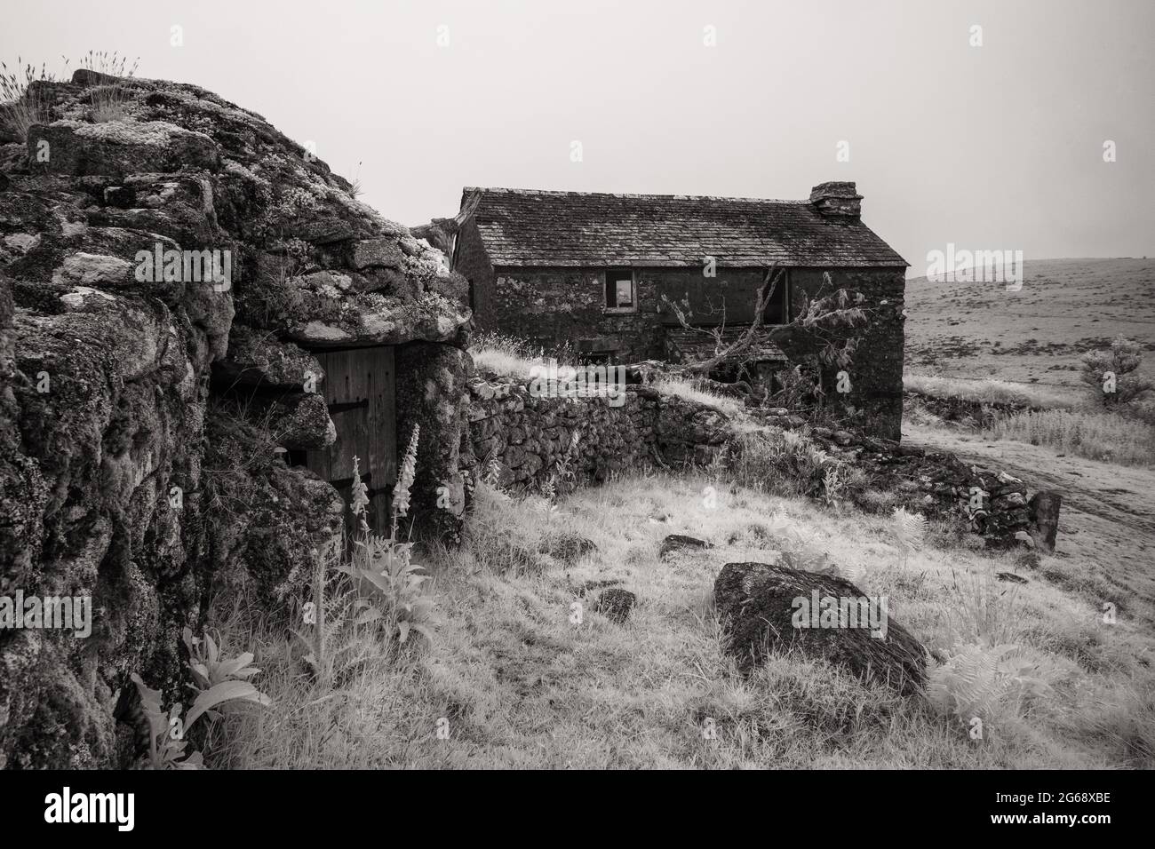 garrow farm on Bodmin Moor cornwall england uk Stock Photo - Alamy