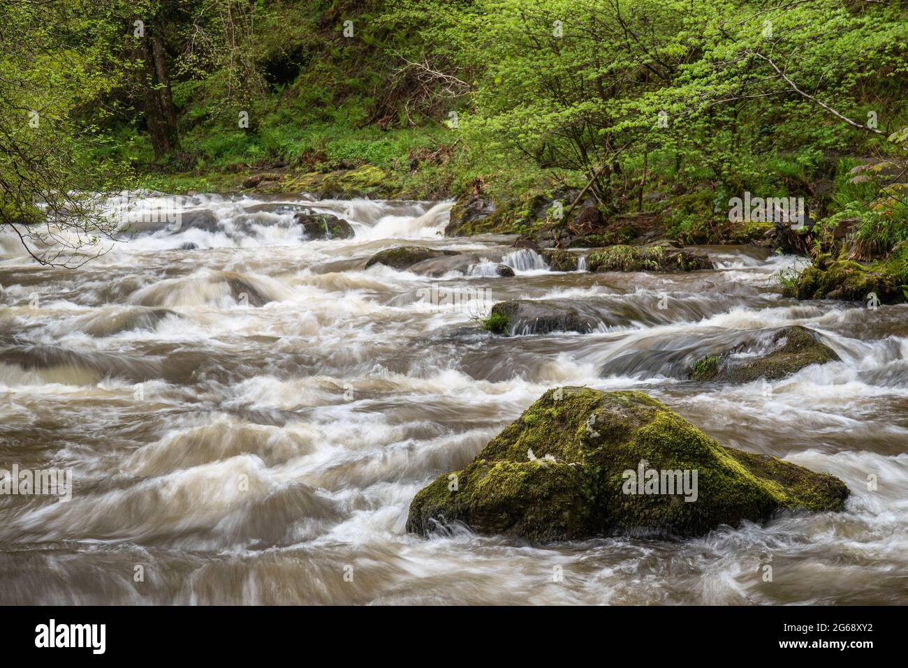 Beautiful Spring landscape image of Watrersmeet in Devon England where ...
