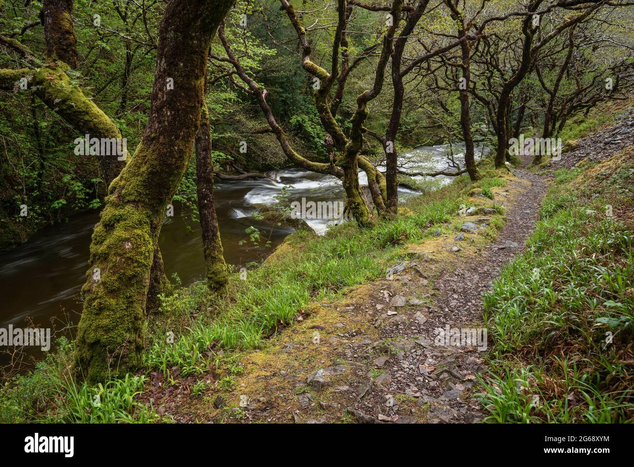 Beautiful Spring landscape image of Watrersmeet in Devon England where ...