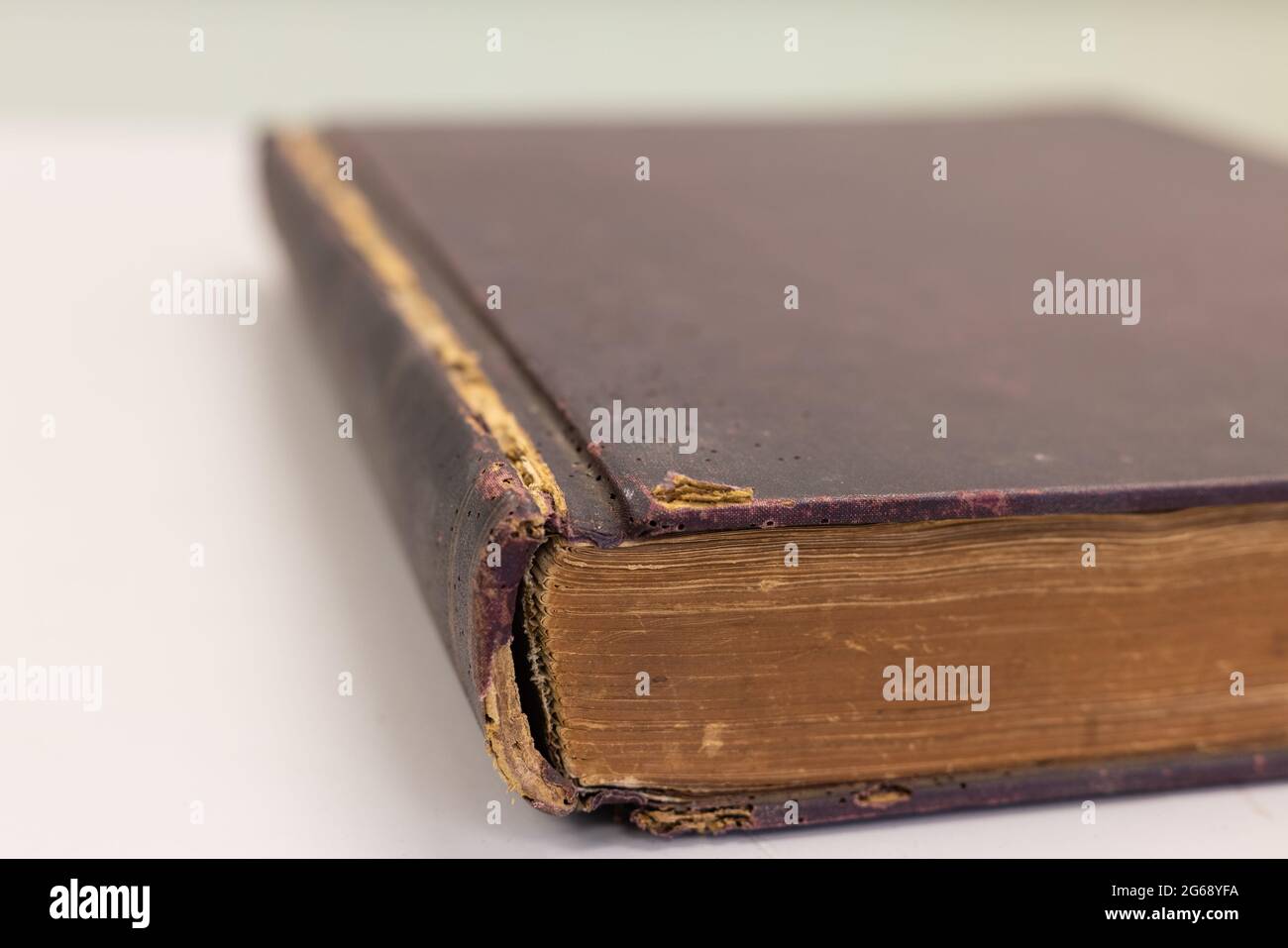 Worm damage hi-res stock photography and images - Alamy