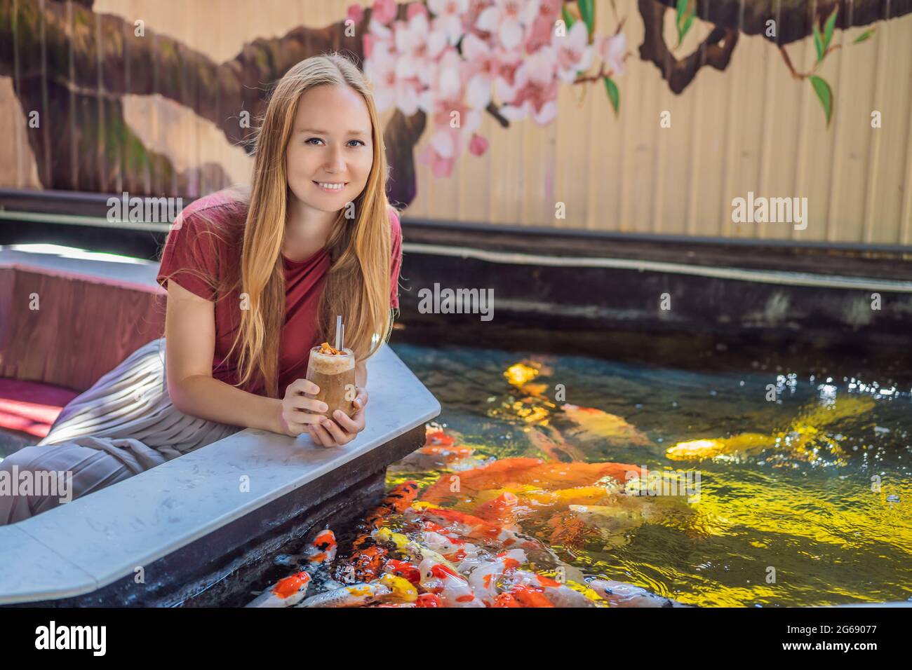 Woman feed koi fish. Beautiful koi fish swimming in the pond Stock ...