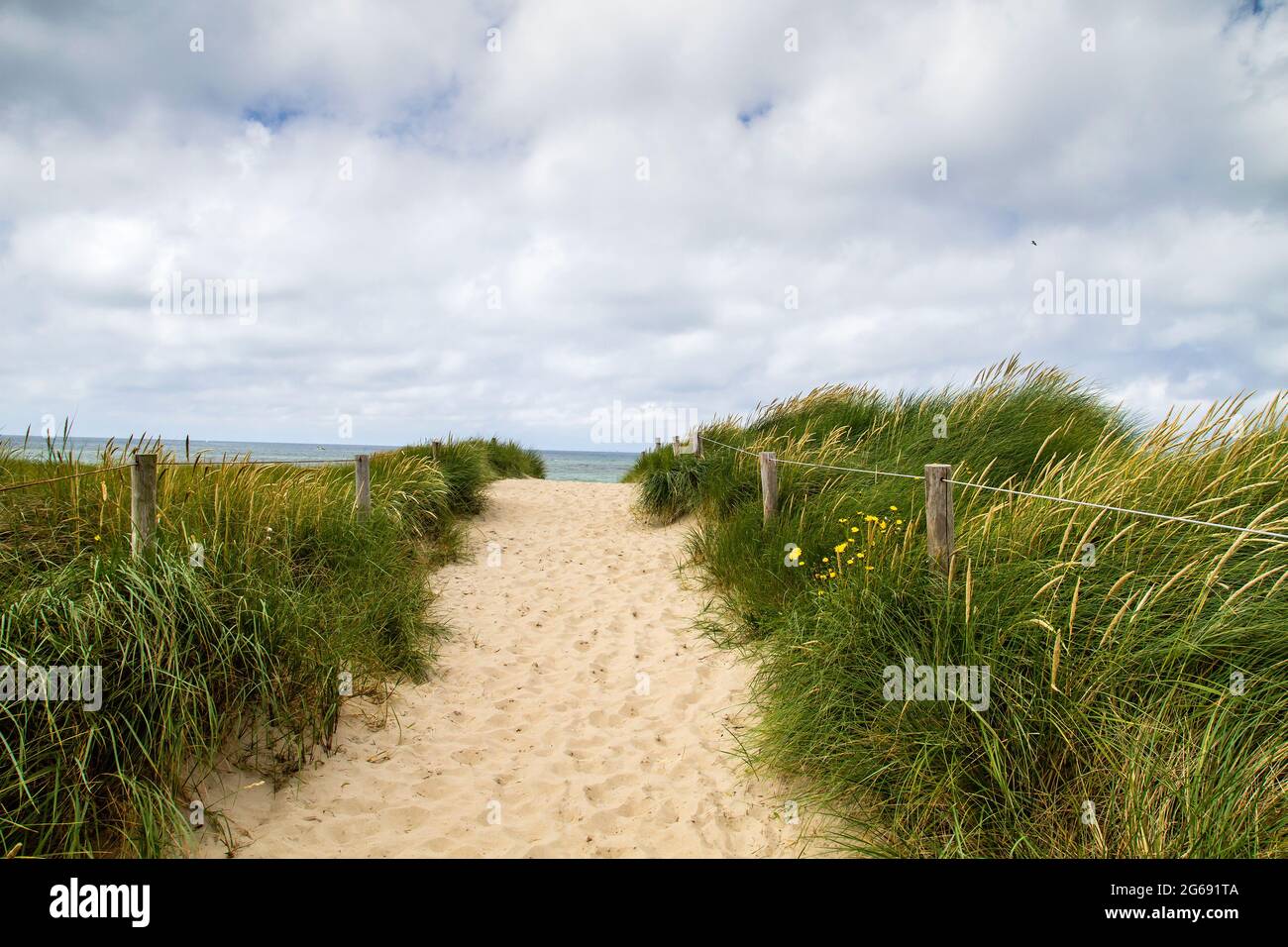 Dunes ecosystem hi-res stock photography and images - Alamy