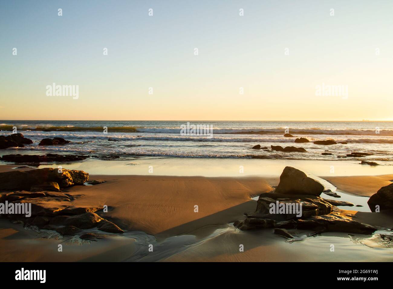 Sandy ecosystem hi-res stock photography and images - Alamy