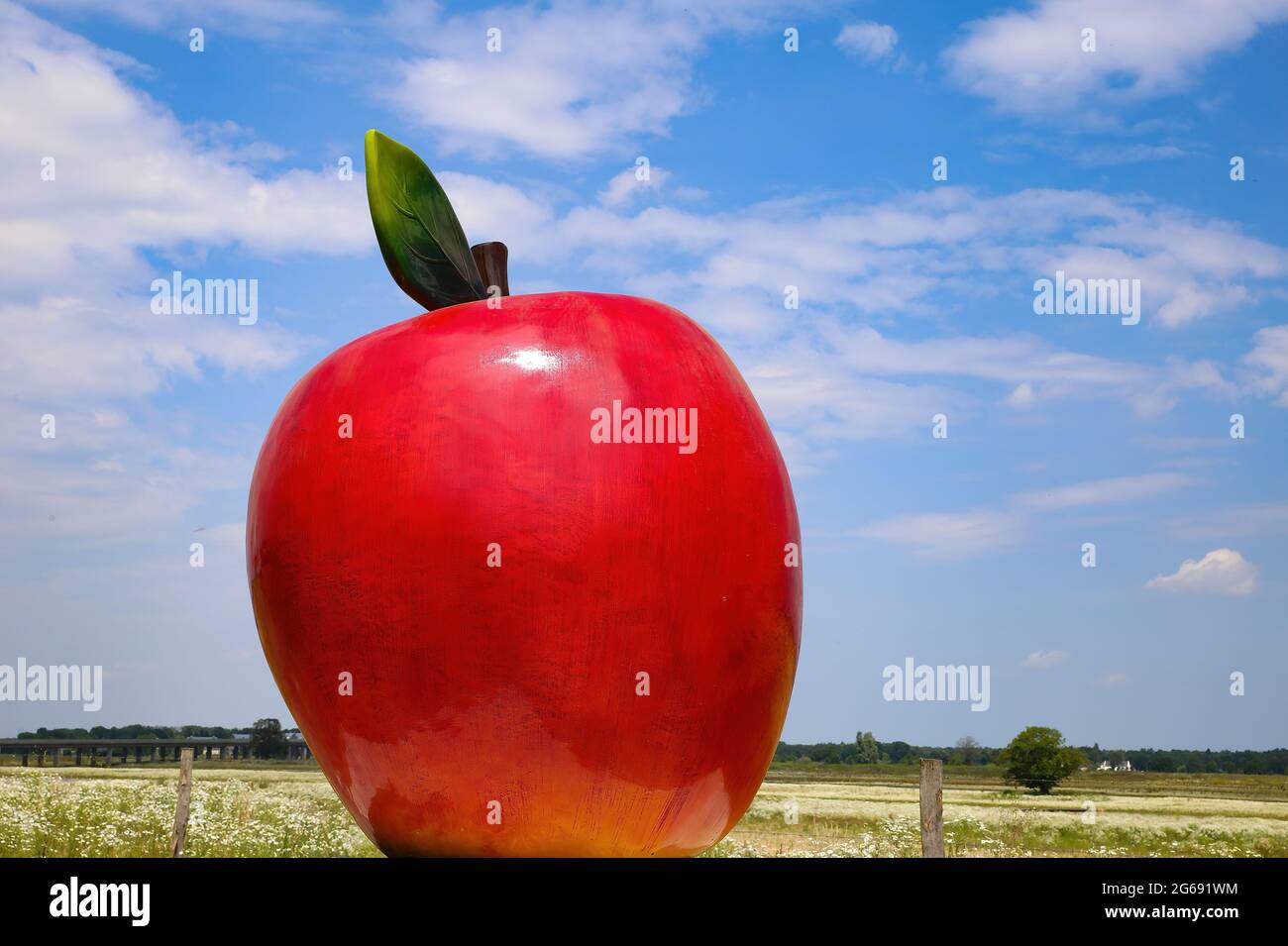 View on model of red apple at dutch fruit plantation in rural landscape ...