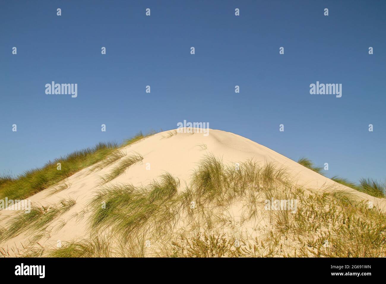 Cabedelo beach portugal hi-res stock photography and images - Alamy