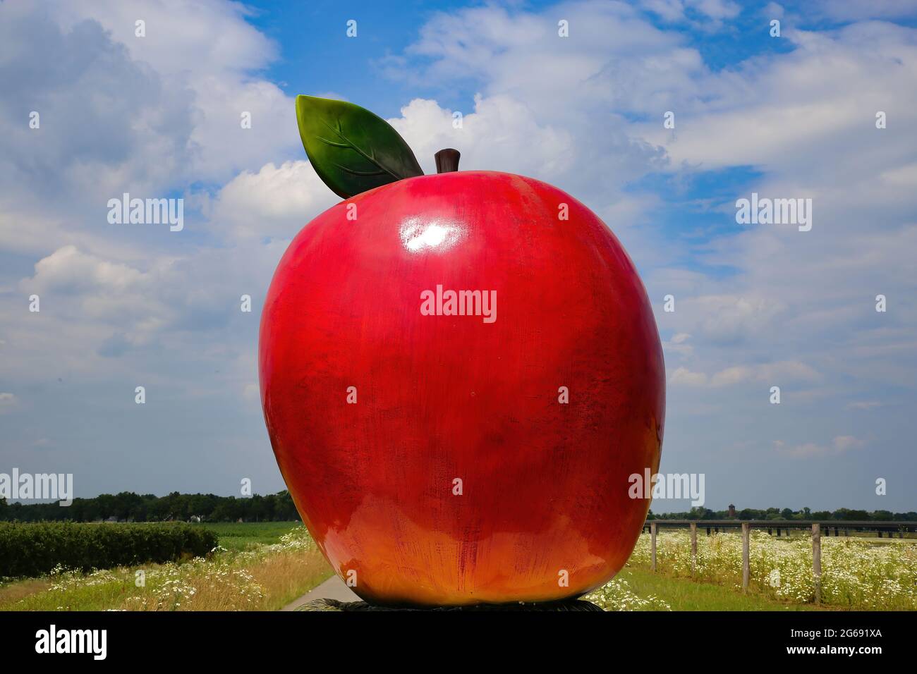 View on model of red apple at dutch fruit plantation in rural landscape ...