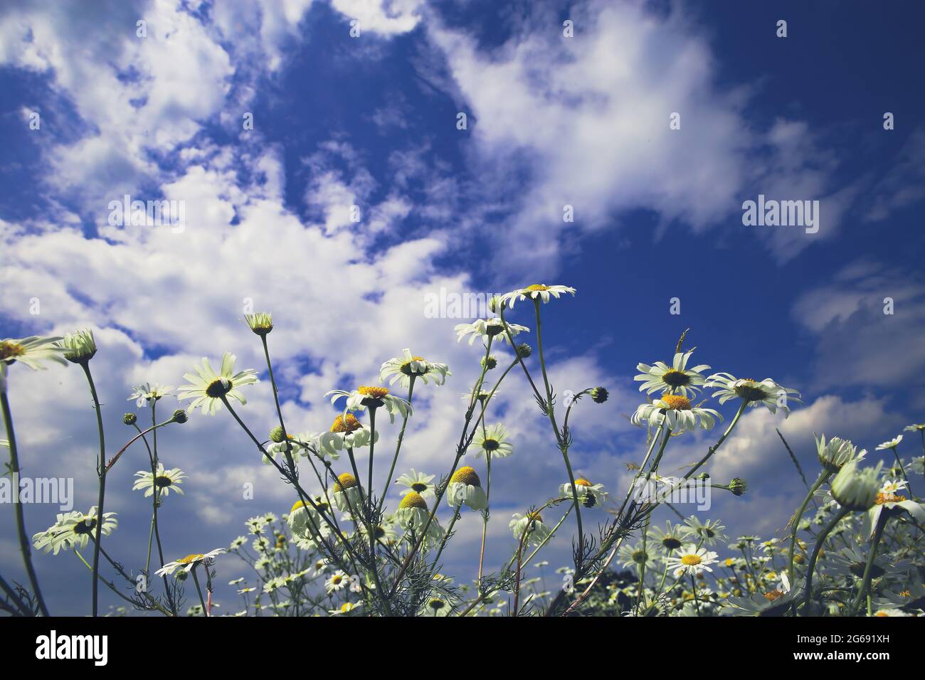 Worm eye view hi-res stock photography and images - Alamy