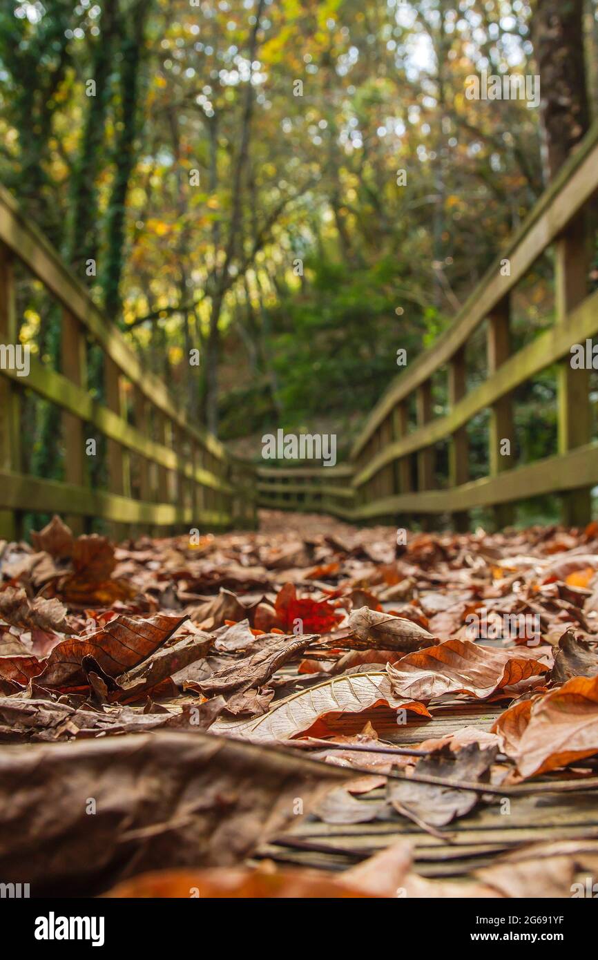 Sustainable footbridge hi-res stock photography and images - Alamy