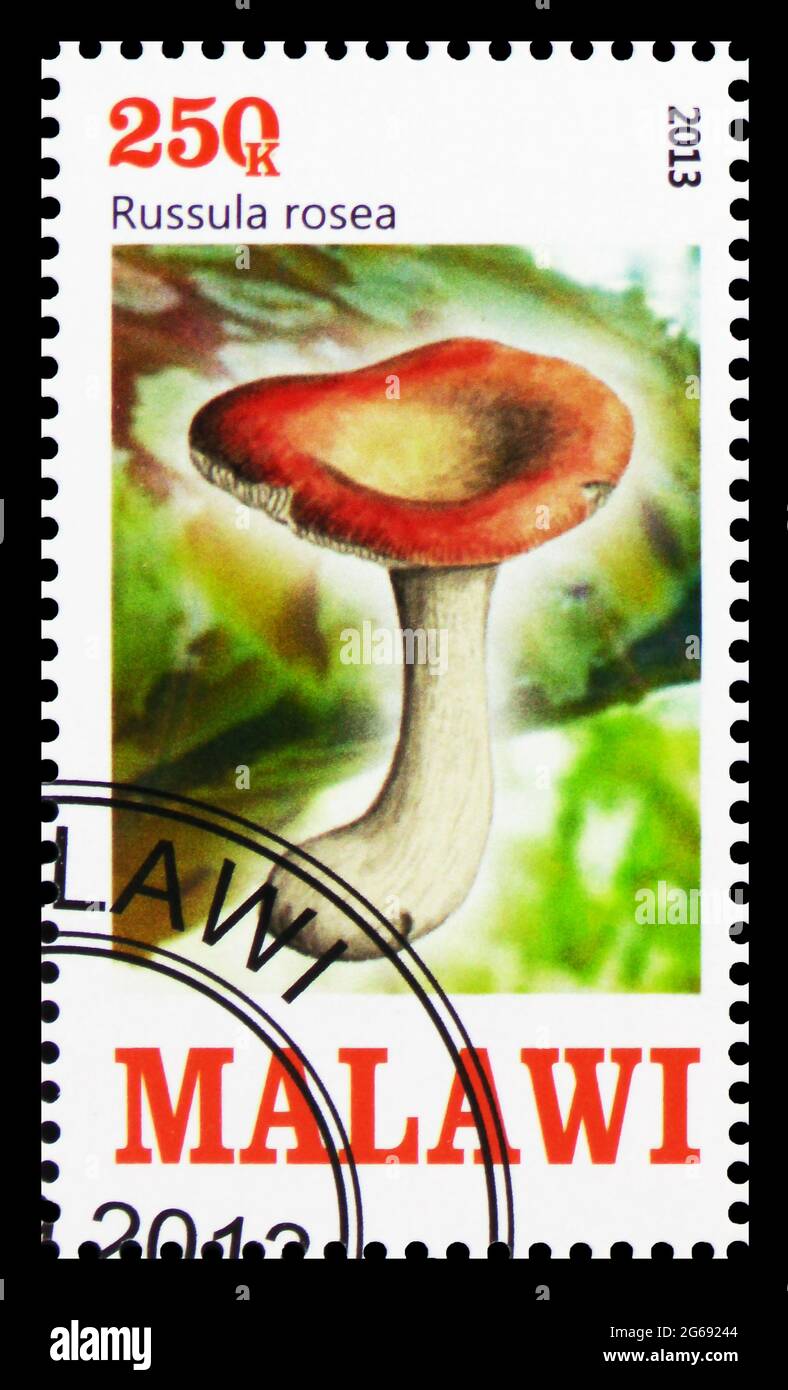 MOSCOW, RUSSIA - MARCH 28, 2020: Postage stamp printed in Malawi shows ...