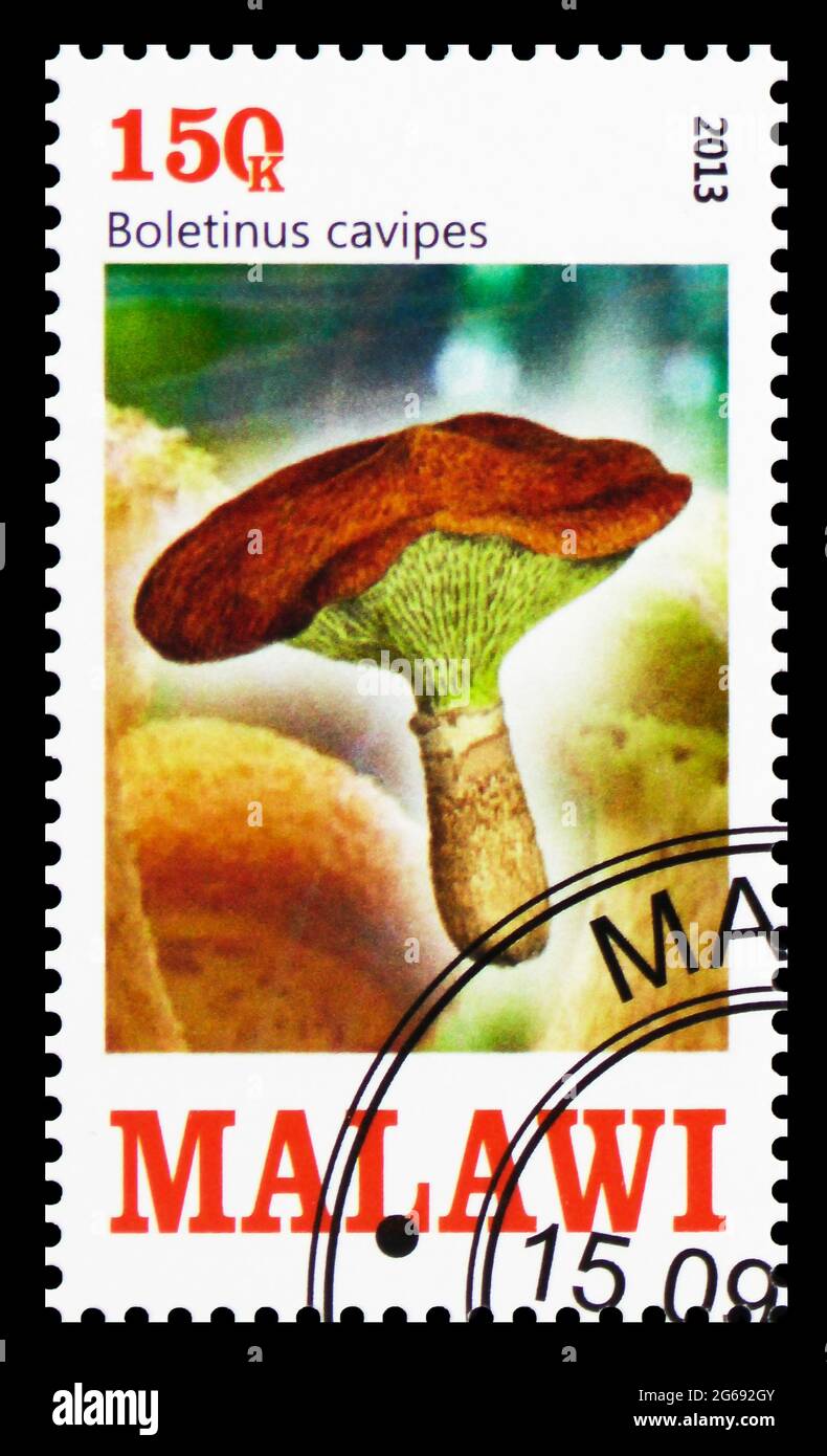 MOSCOW, RUSSIA - MARCH 28, 2020: Postage stamp printed in Malawi shows ...