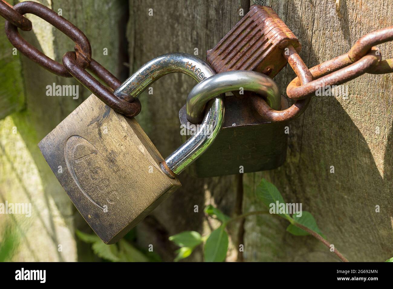Chain With Three Padlocks High Resolution Stock Photography and Images ...