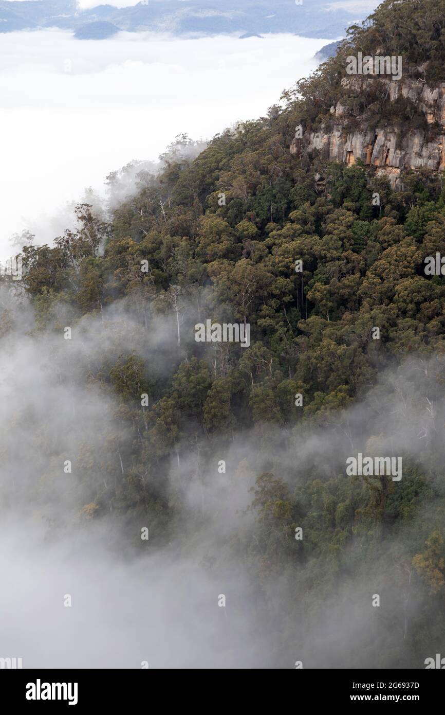 Morton National park, NSW, Australia Stock Photo - Alamy