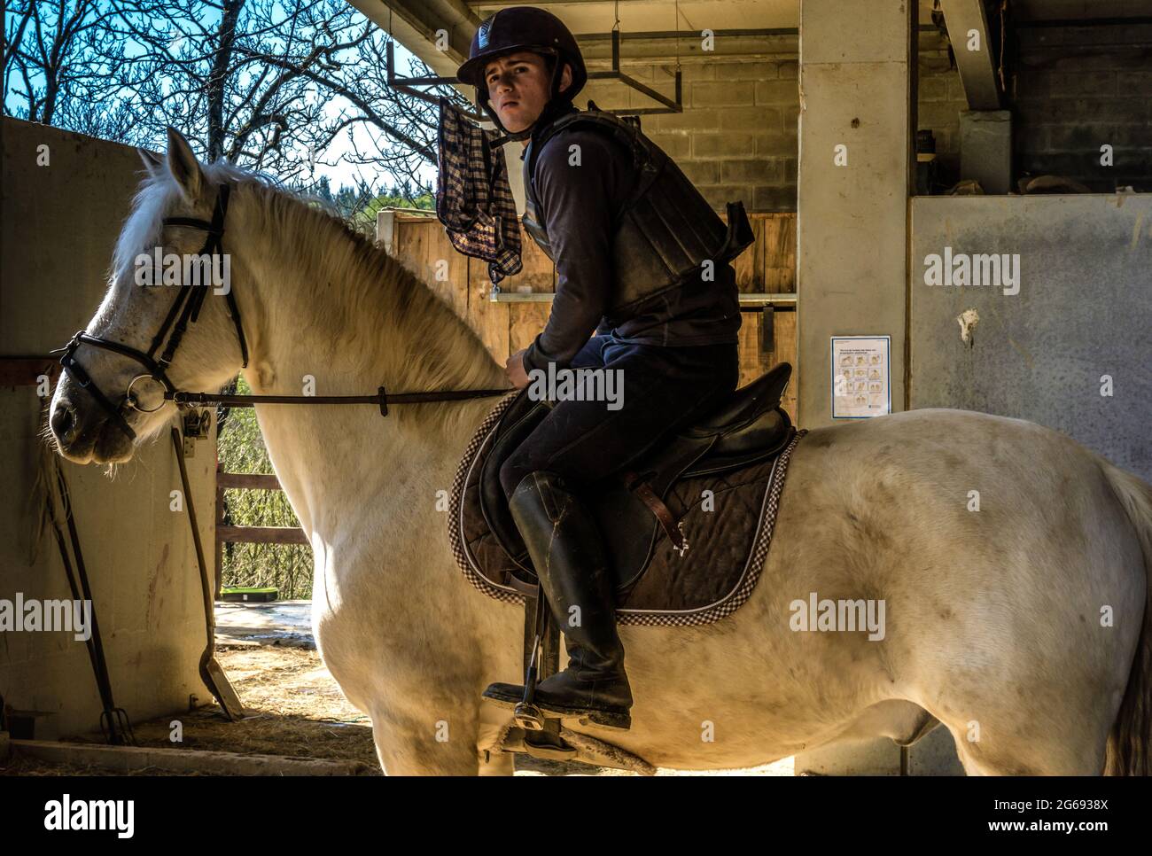 rider and horse looking for the best way to go riding Stock Photo - Alamy