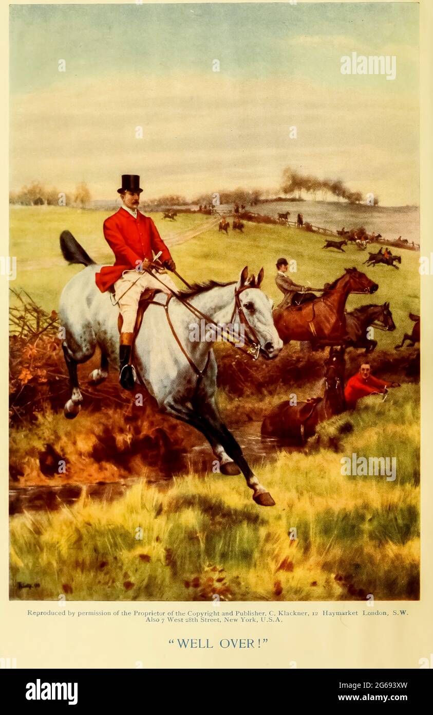 Horse jumping hedge hi-res stock photography and images - Alamy
