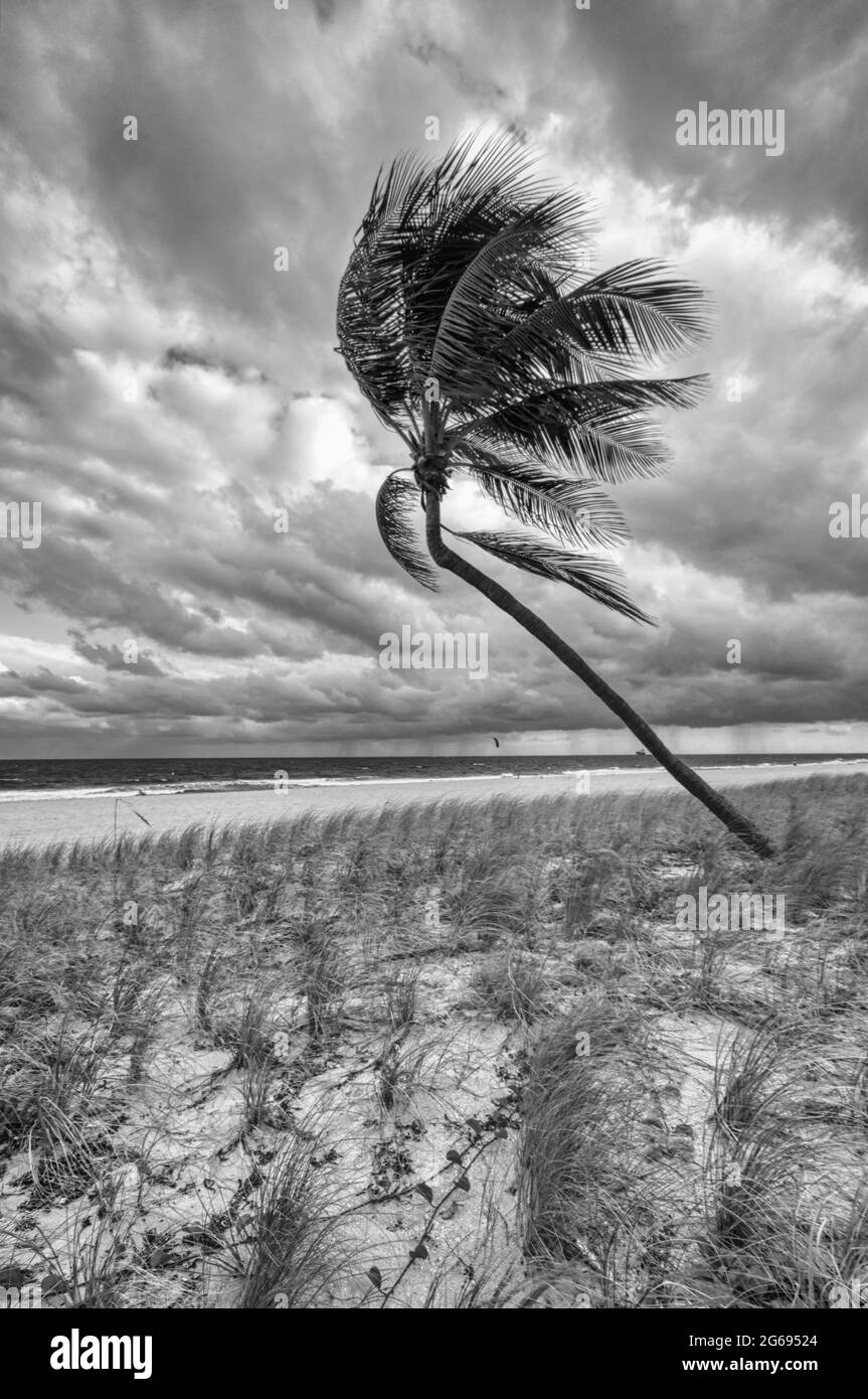 Guy fort hi-res stock photography and images - Alamy