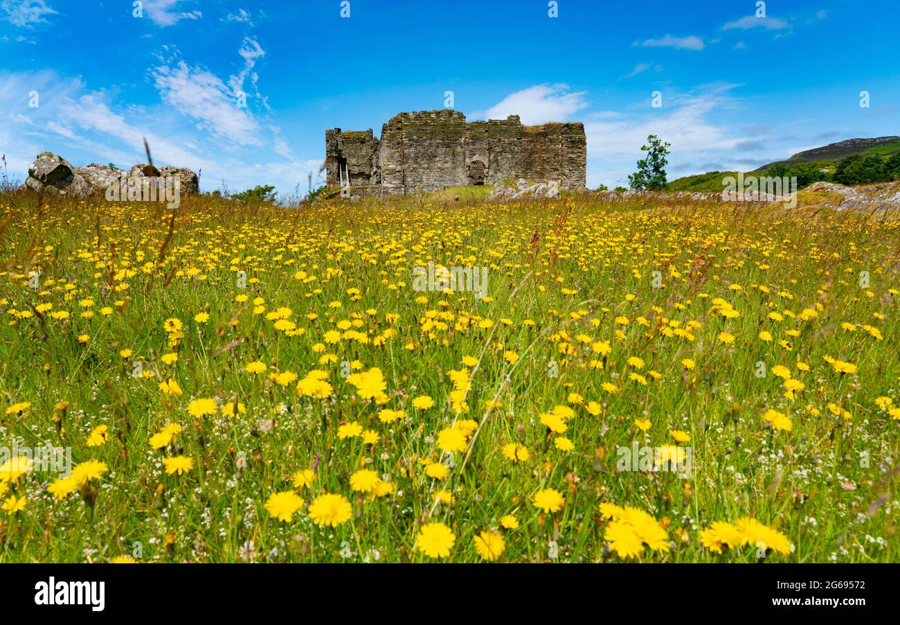 Scotland castle sween hi-res stock photography and images - Alamy