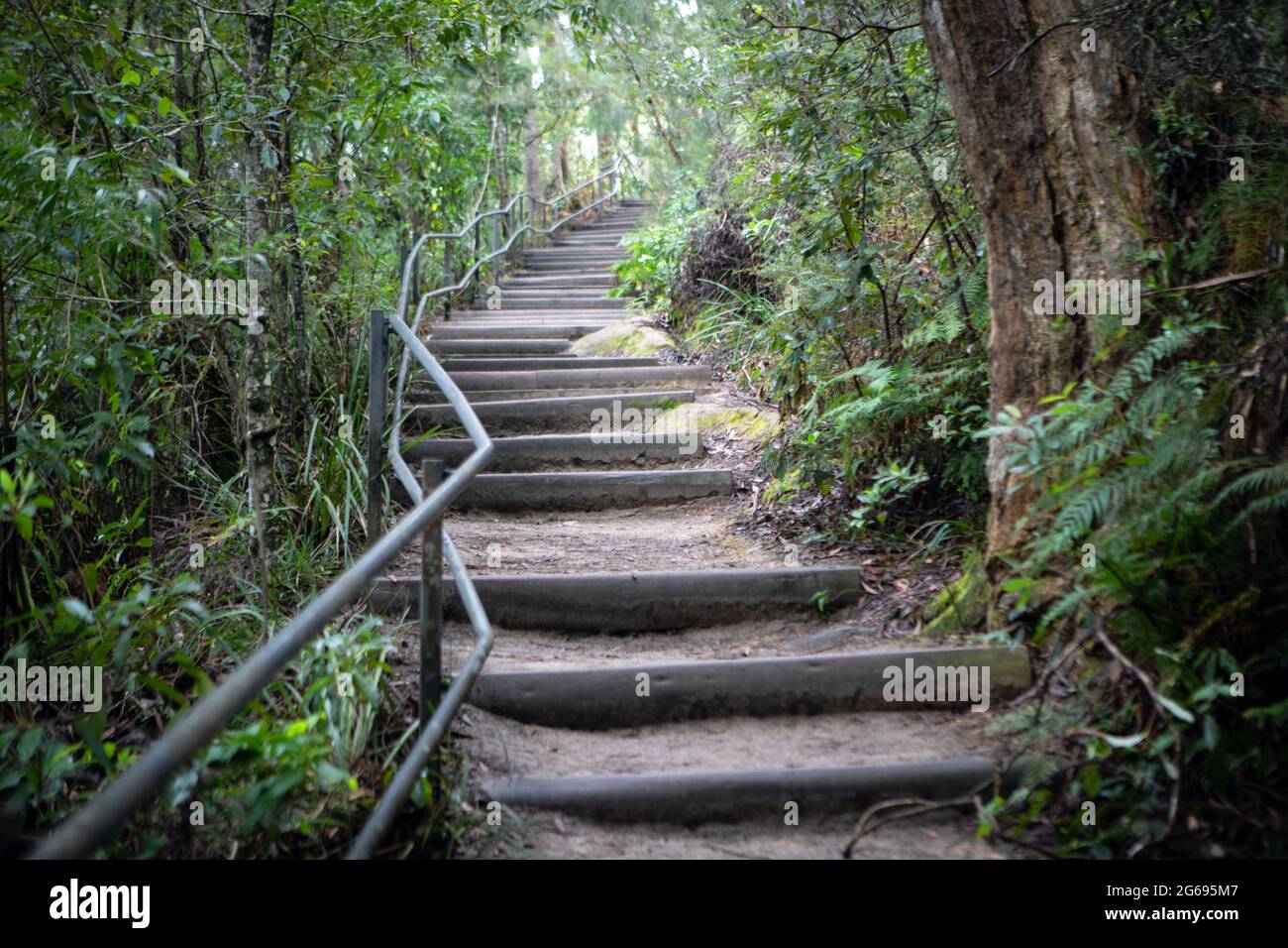 Morton national park hi-res stock photography and images - Alamy