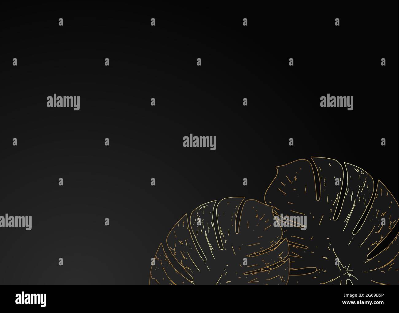 Plain Shiny Black Background