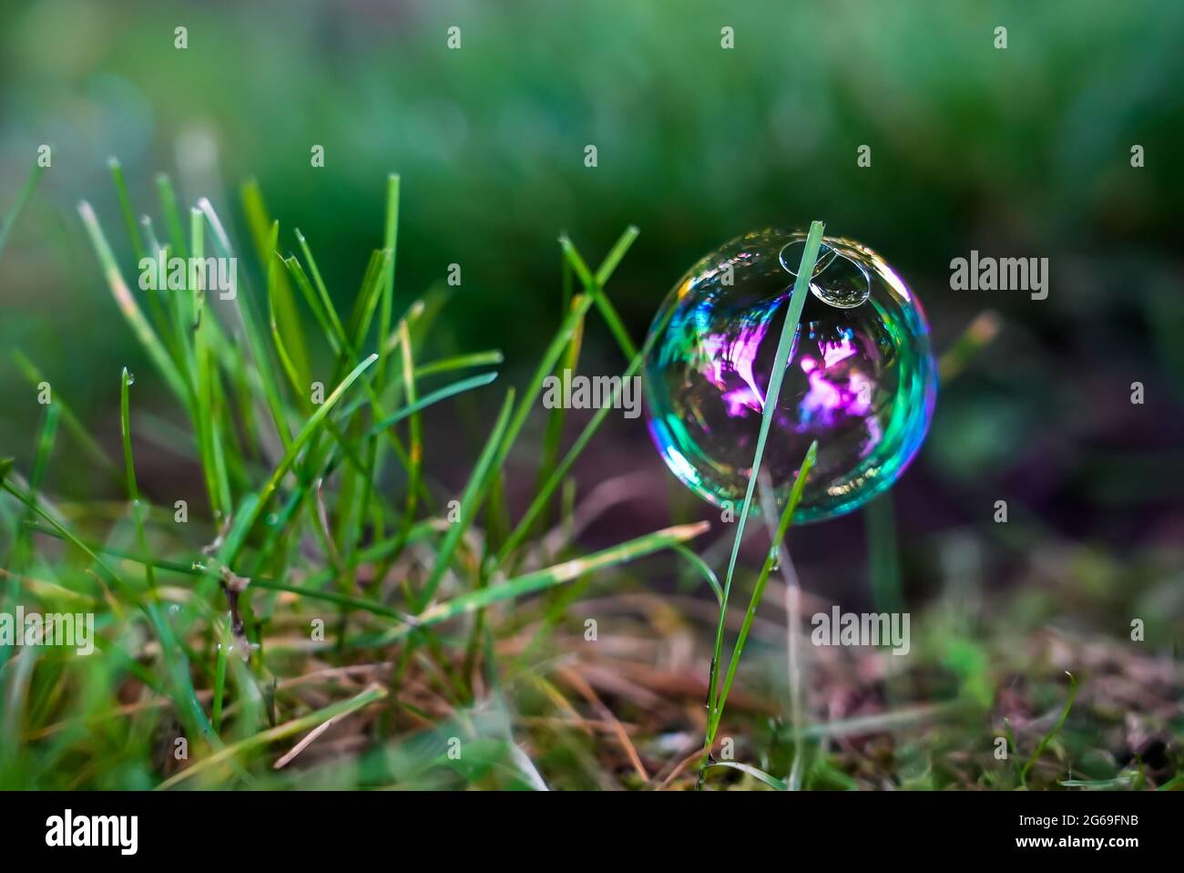 Grass and bubble hi-res stock photography and images - Alamy