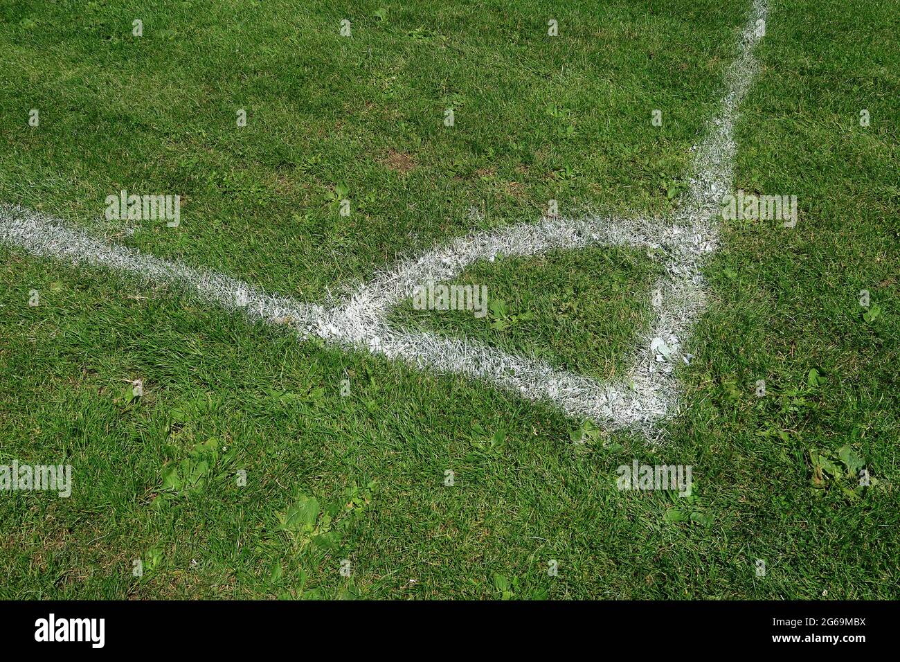 White Corner marking on a green field Stock Photo - Alamy