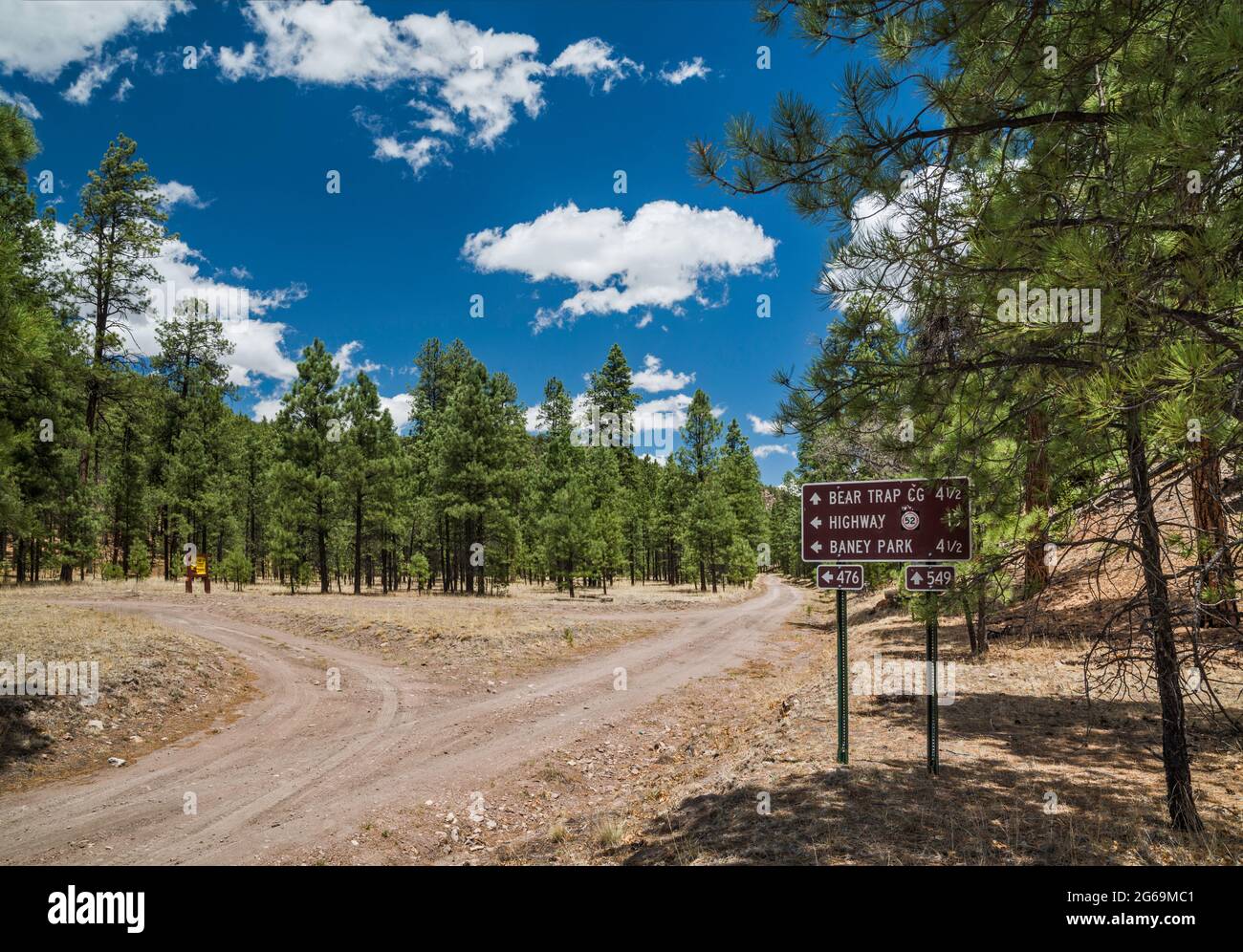 Road intersection in San Mateo Mountains, Cibola National Forest, New ...