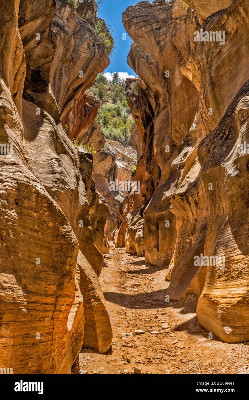 Willis Creek Narrows, Skutumpah Road, Grand Staircase-Escalante ...
