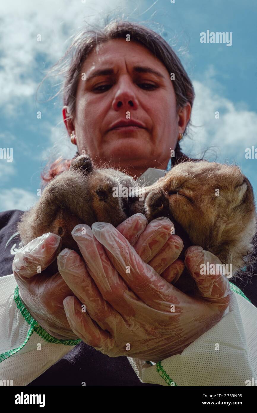 Honoured dead memorial hi-res stock photography and images - Alamy