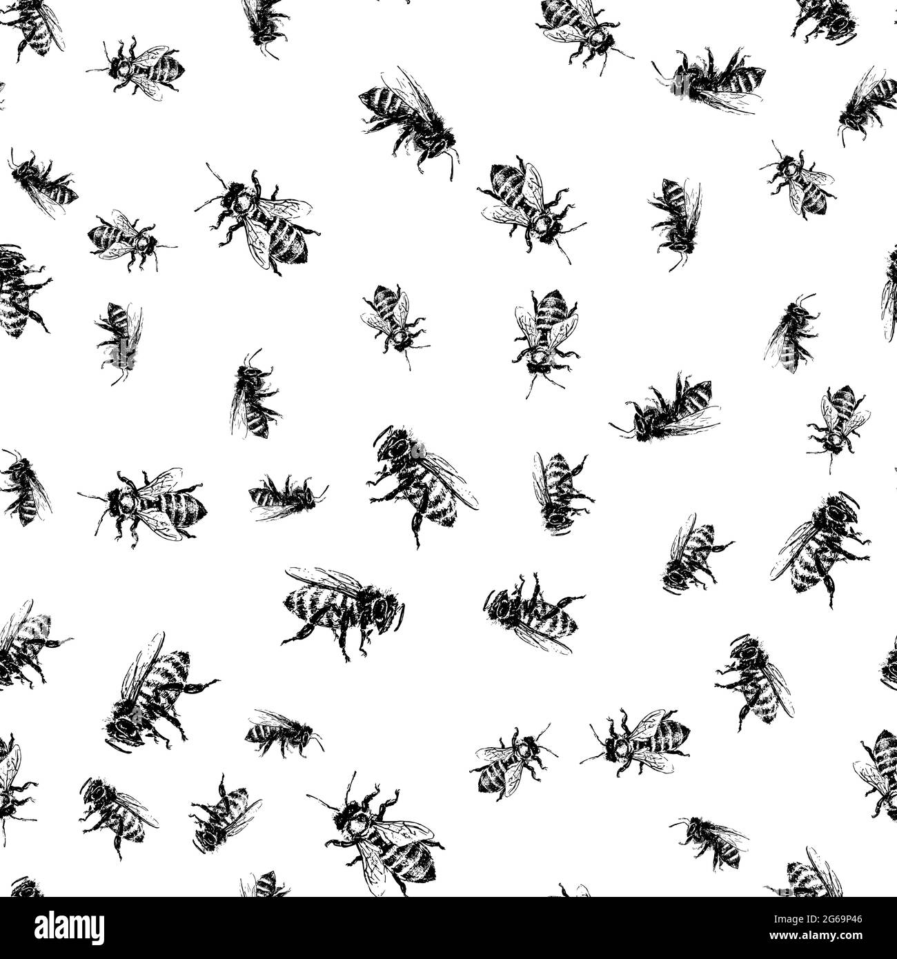 Seamless pattern vector bees Cut Out Stock Images & Pictures - Alamy