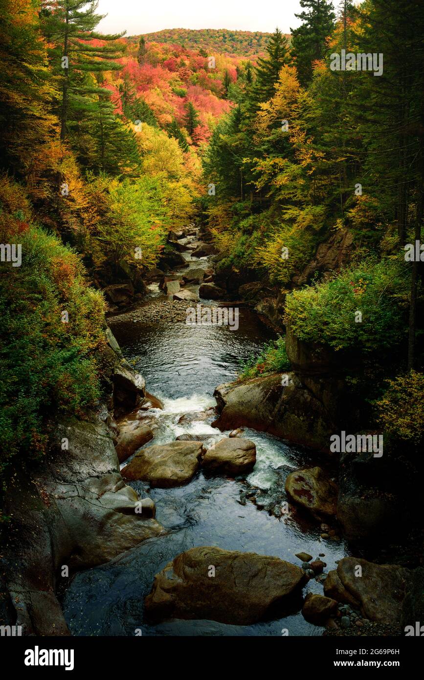 Fall folliage and river at flume gorge in the white mountains Stock ...