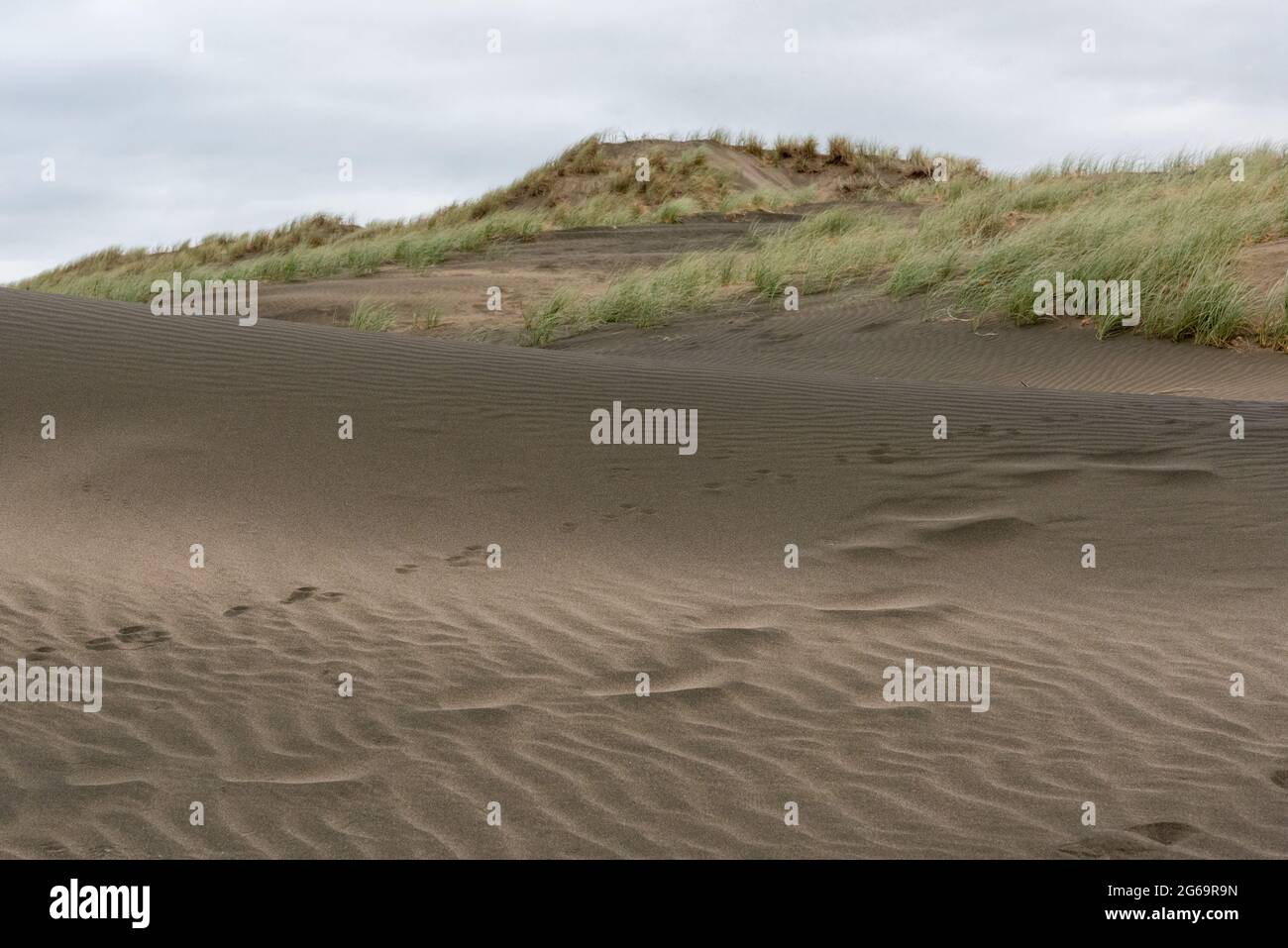 Dark colored sand at Whatipu beach near Auckland, New Zealand Stock ...