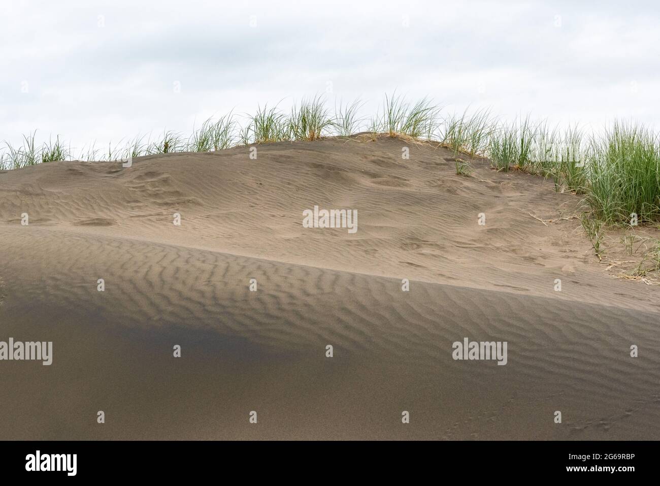Dark colored sand at Whatipu beach near Auckland, New Zealand Stock ...