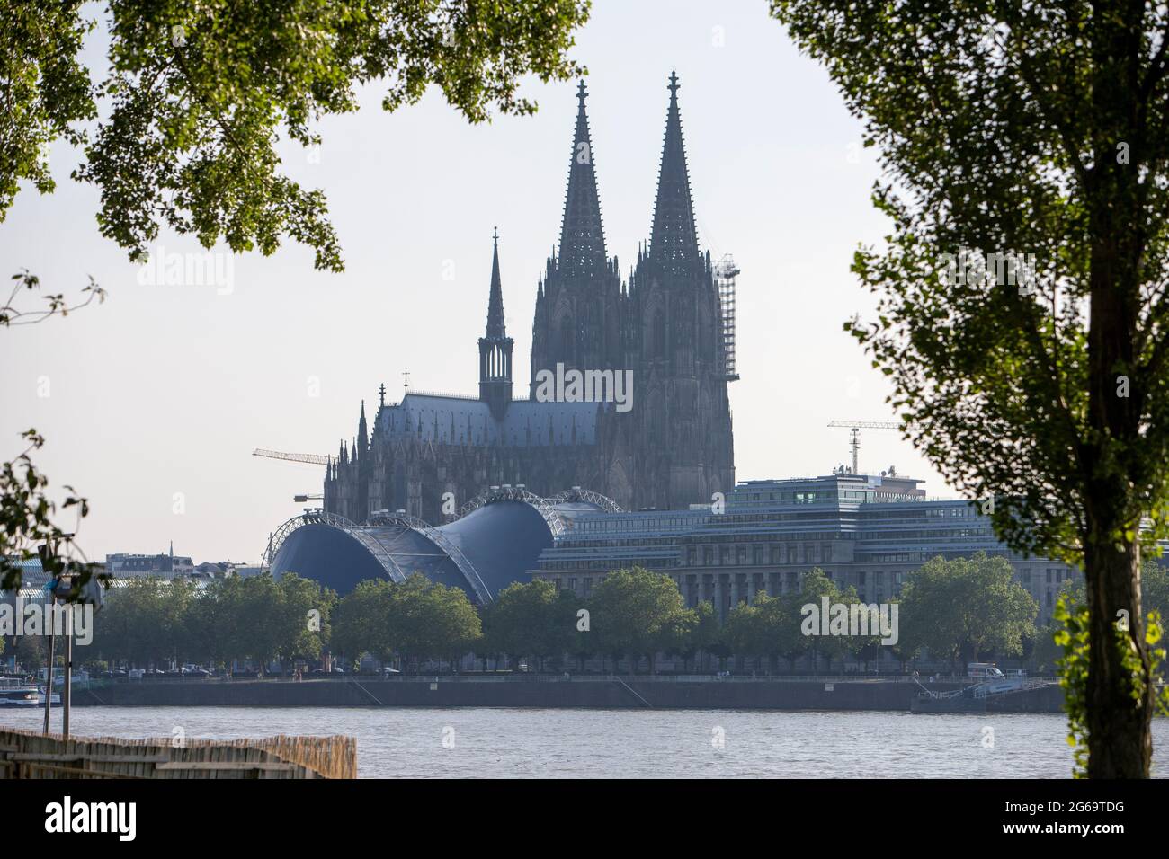 cologne, NRW, Germany, 07 02 2021, cologne cathedral, trees as frame ...