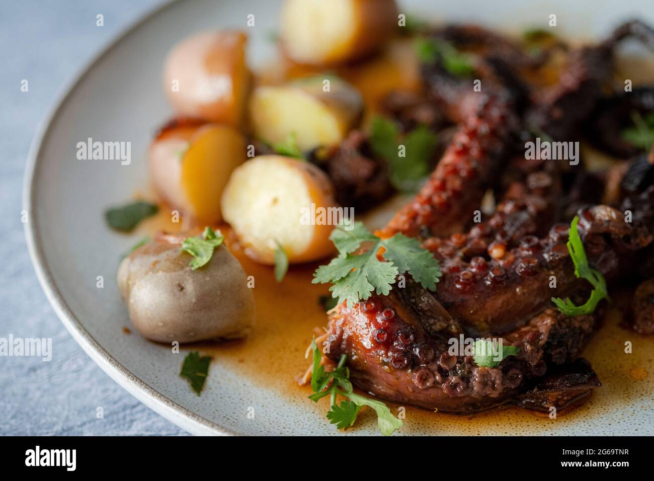 Roasted octopus with chorizo Stock Photo - Alamy