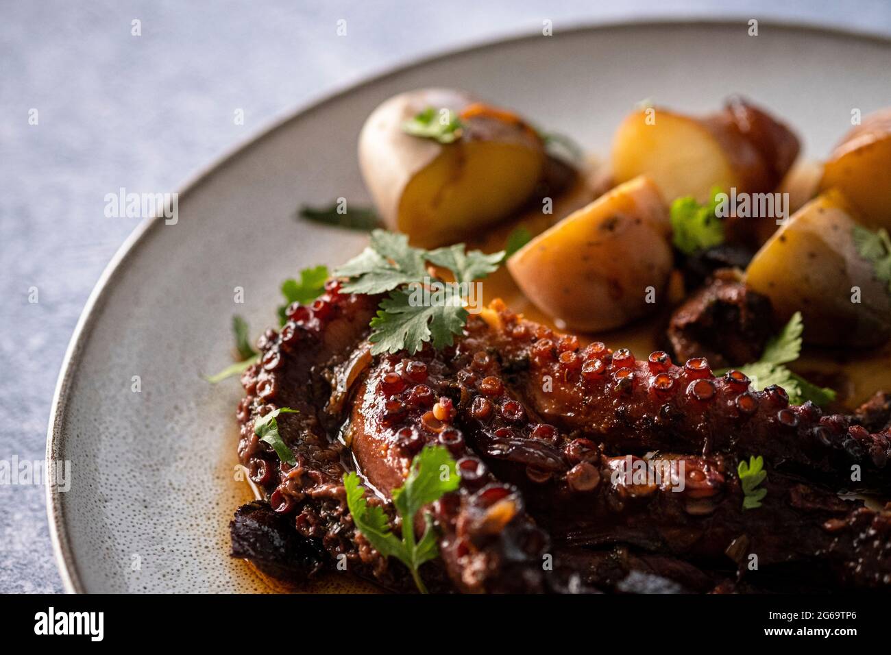 Roasted octopus with chorizo Stock Photo - Alamy