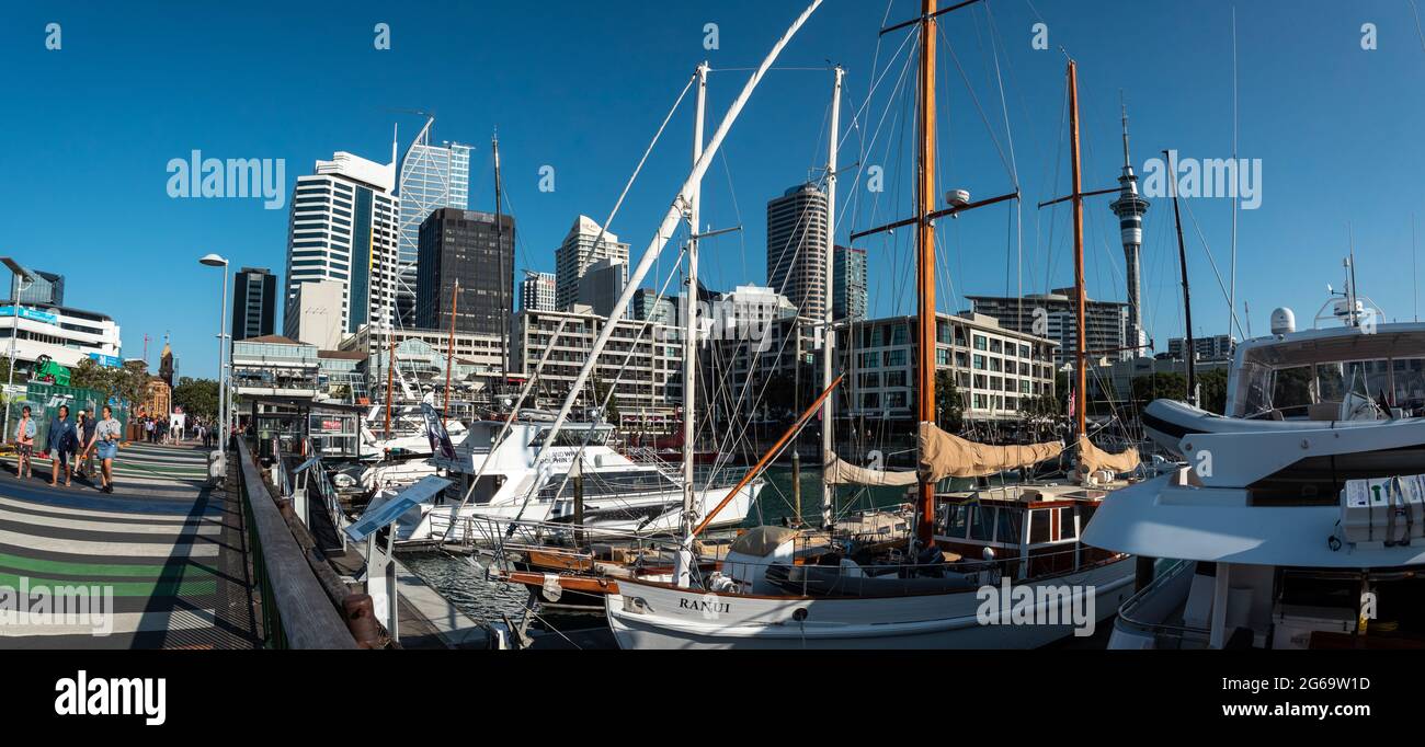 Auckland harbor during sunny summer day, New Zealand Stock Photo - Alamy