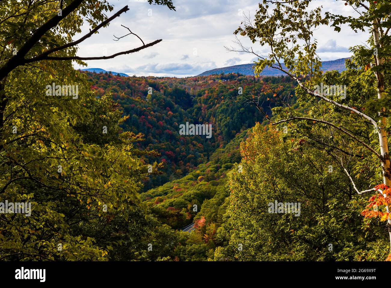 Kaaterskill forest during fall Stock Photo - Alamy