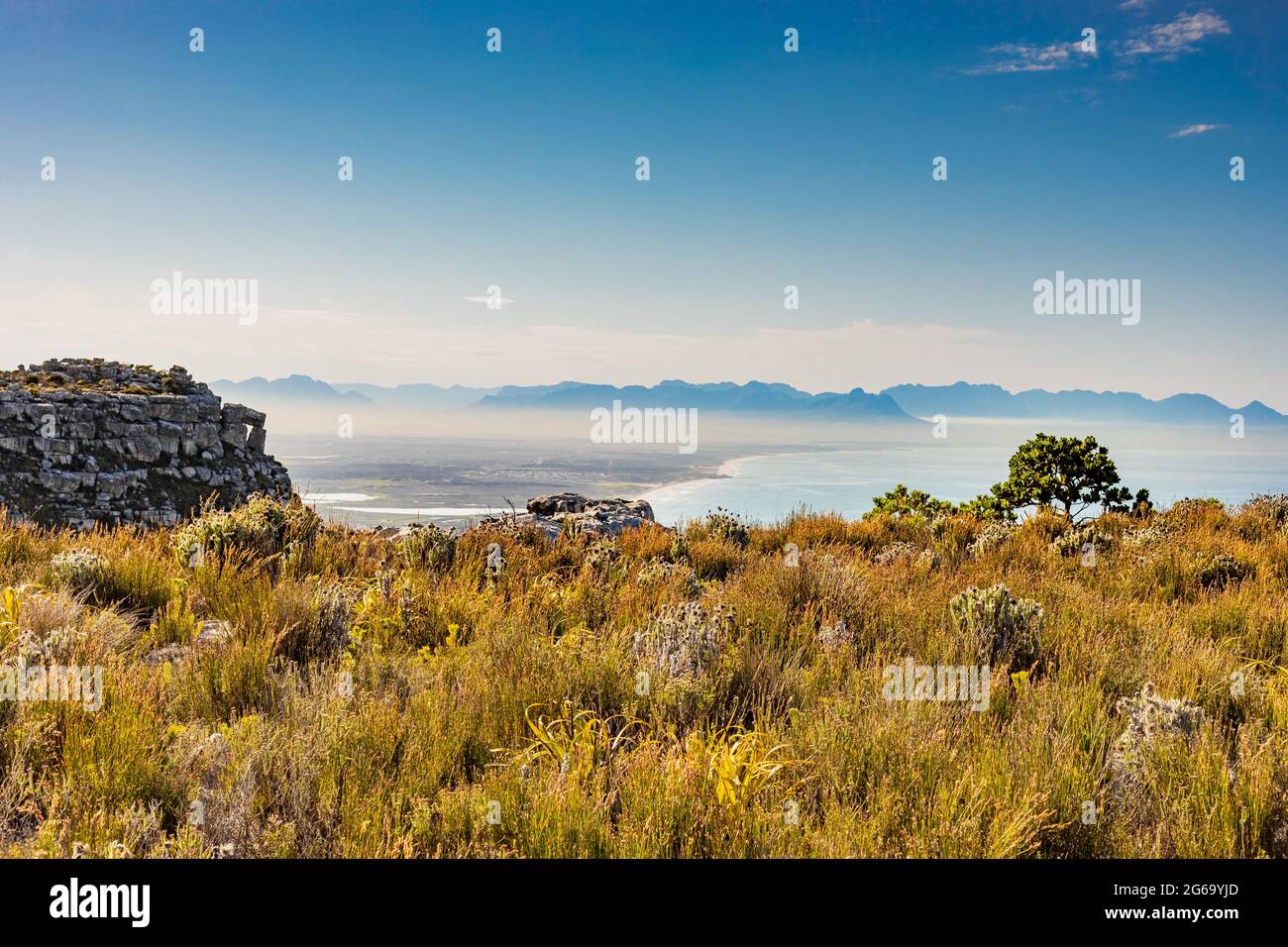 Coastal mountain landscape with fynbos flora in Cape Town South Africa ...