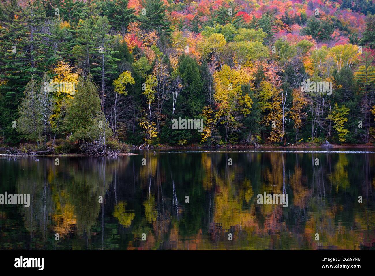 Fall color reflection on black water Stock Photo - Alamy