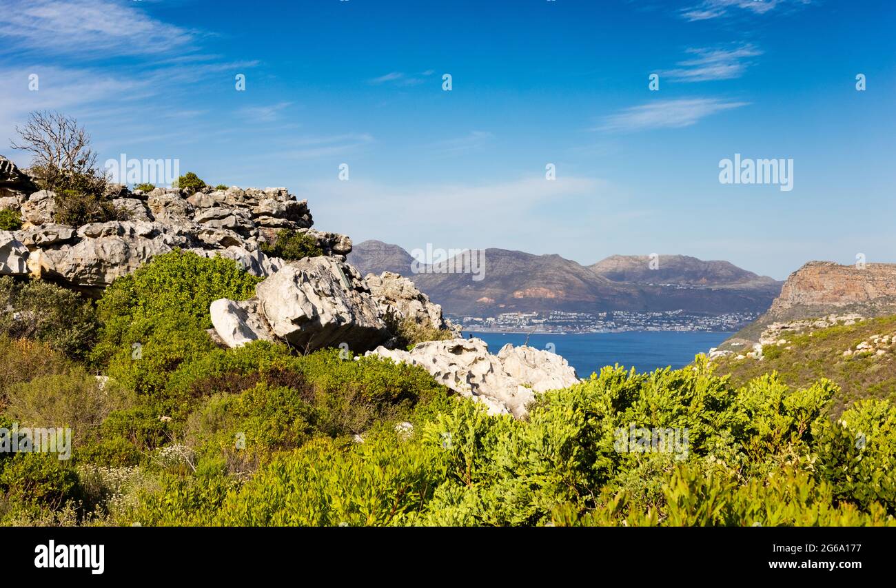 Coastal mountain landscape with fynbos flora in Cape Town South Africa ...