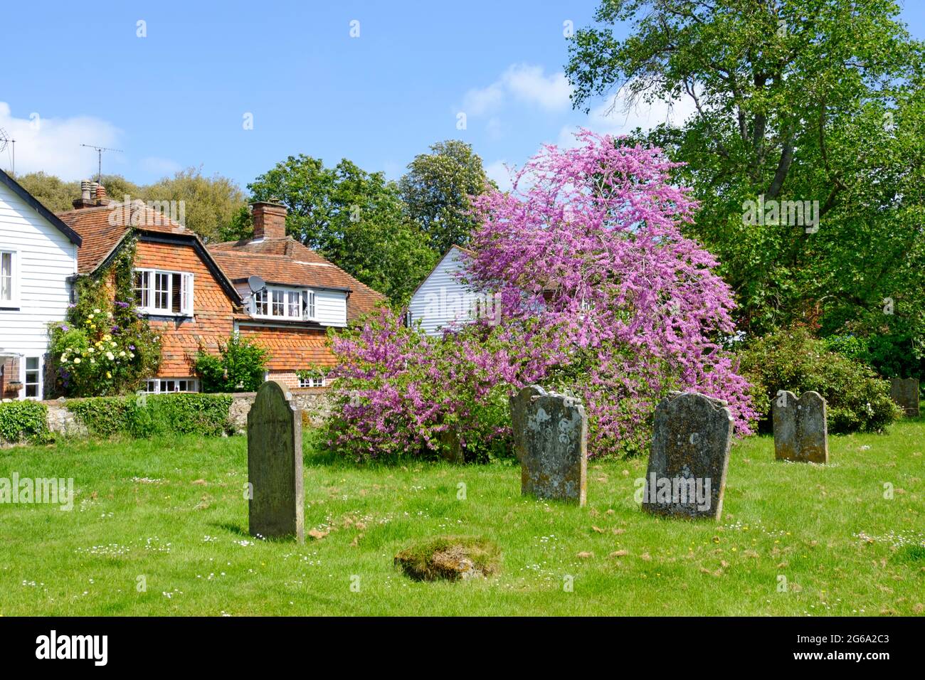 Wittersham hi-res stock photography and images - Alamy