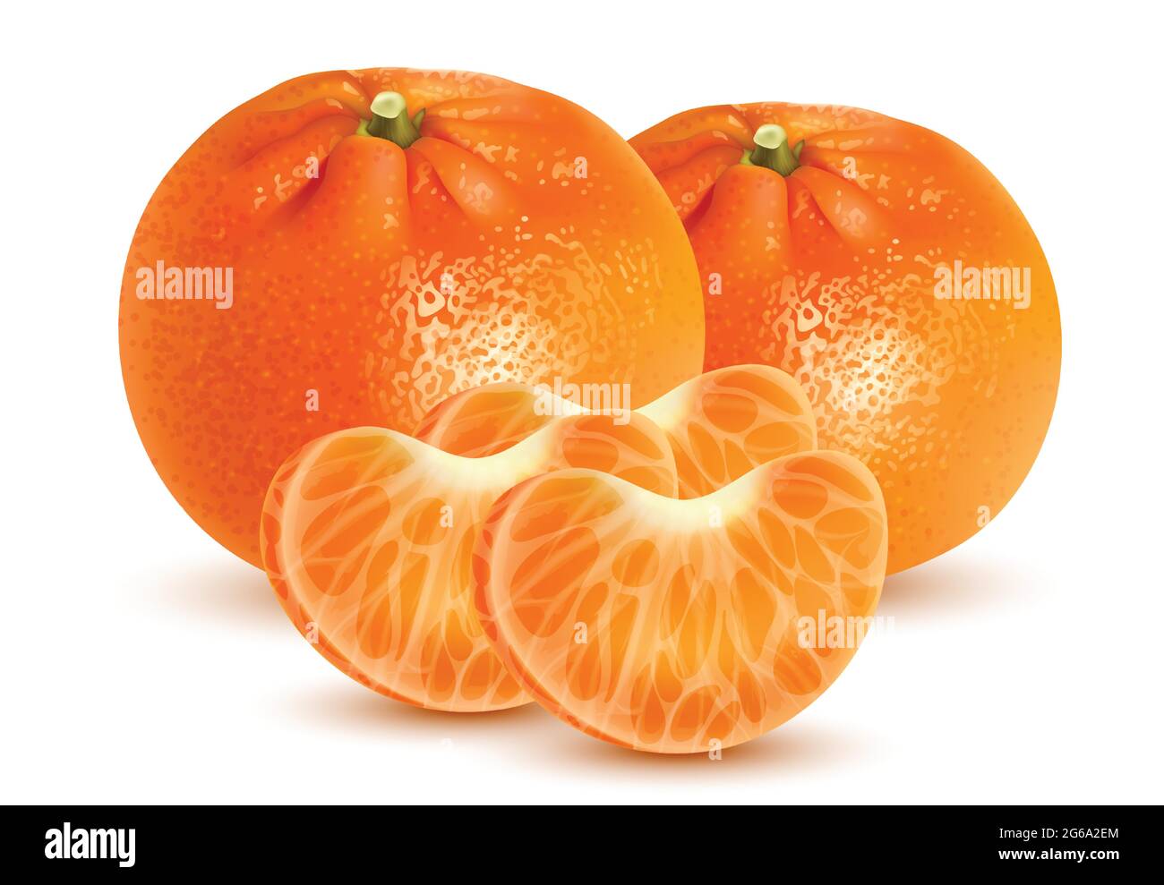 Clementine skin up close fruit Stock Vector Images - Alamy
