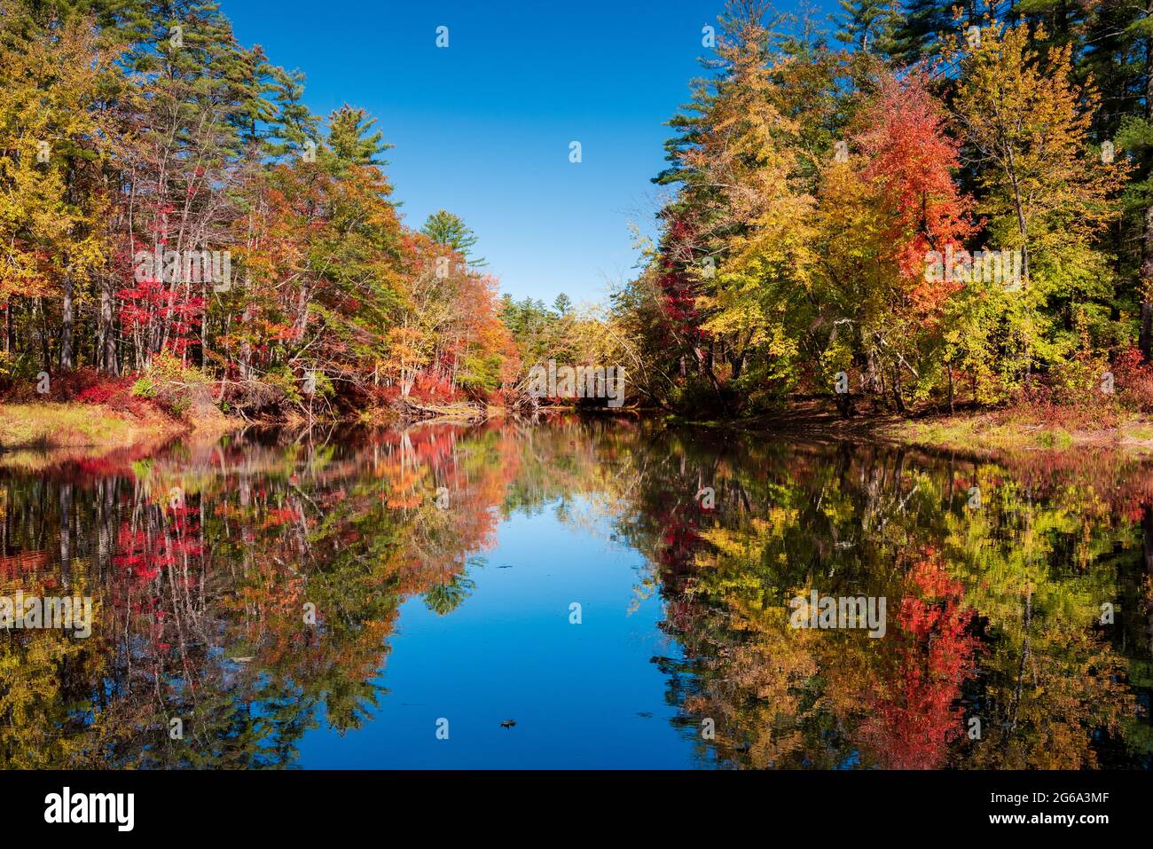 Sacor river and fall colors near Hemlock bridge Stock Photo - Alamy