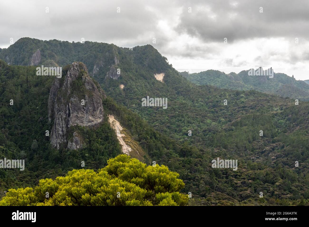 Tranquil upland landscape of Great Barrier Island, New Zealand Stock ...