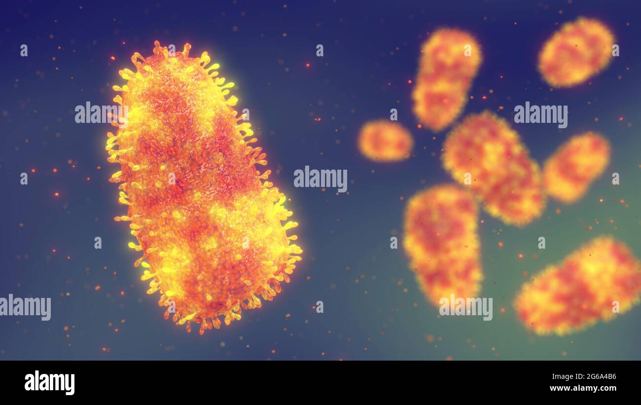 Rabies is a viral disease of the nervous system that causes deadly ...