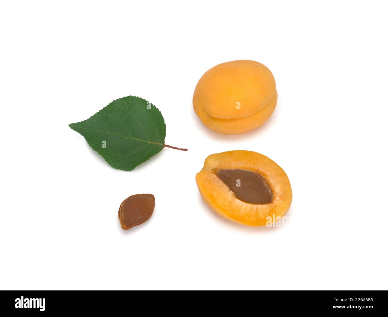 Apricot stone hi-res stock photography and images - Alamy