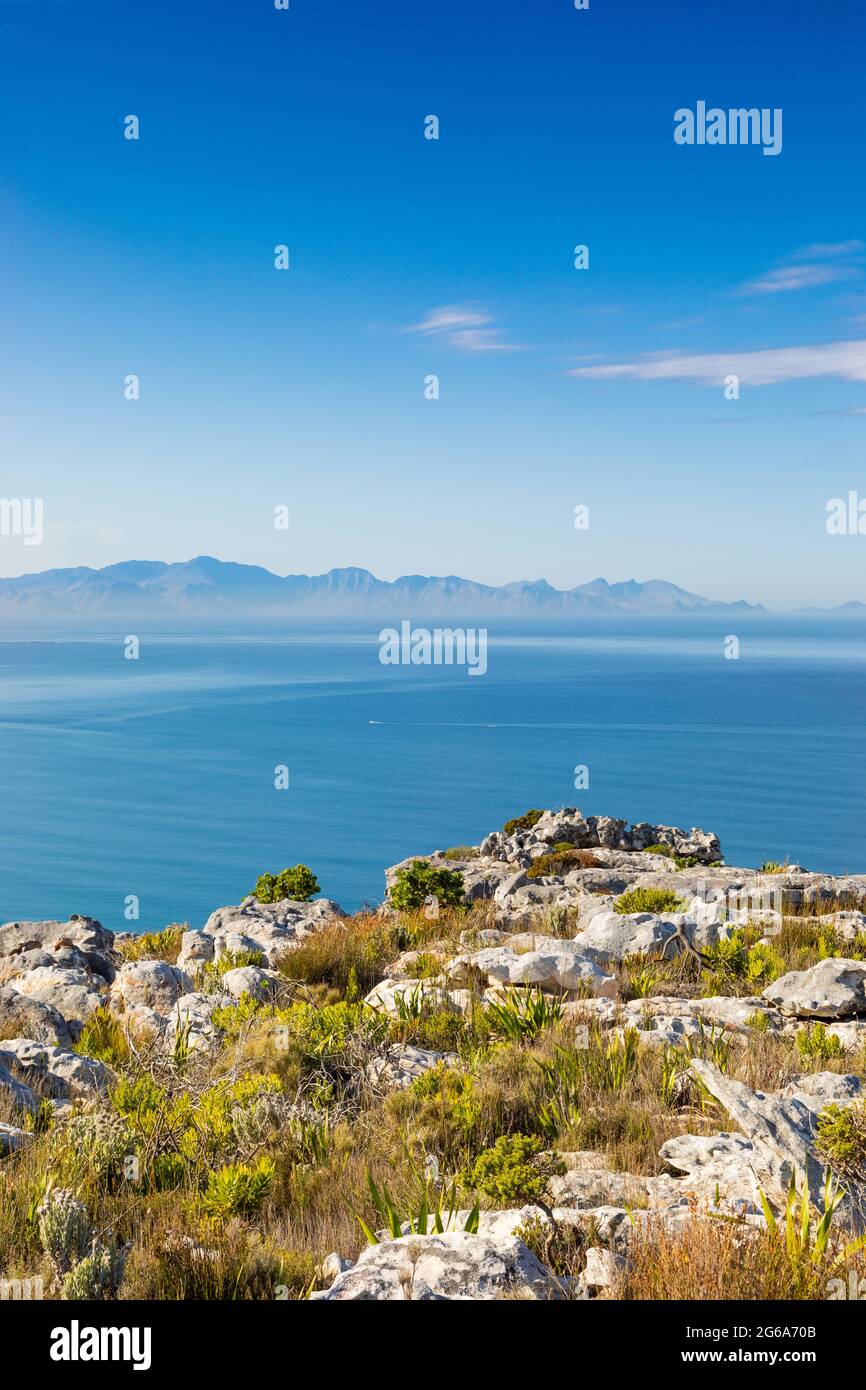 Coastal mountain landscape with fynbos flora in Cape Town South Africa ...