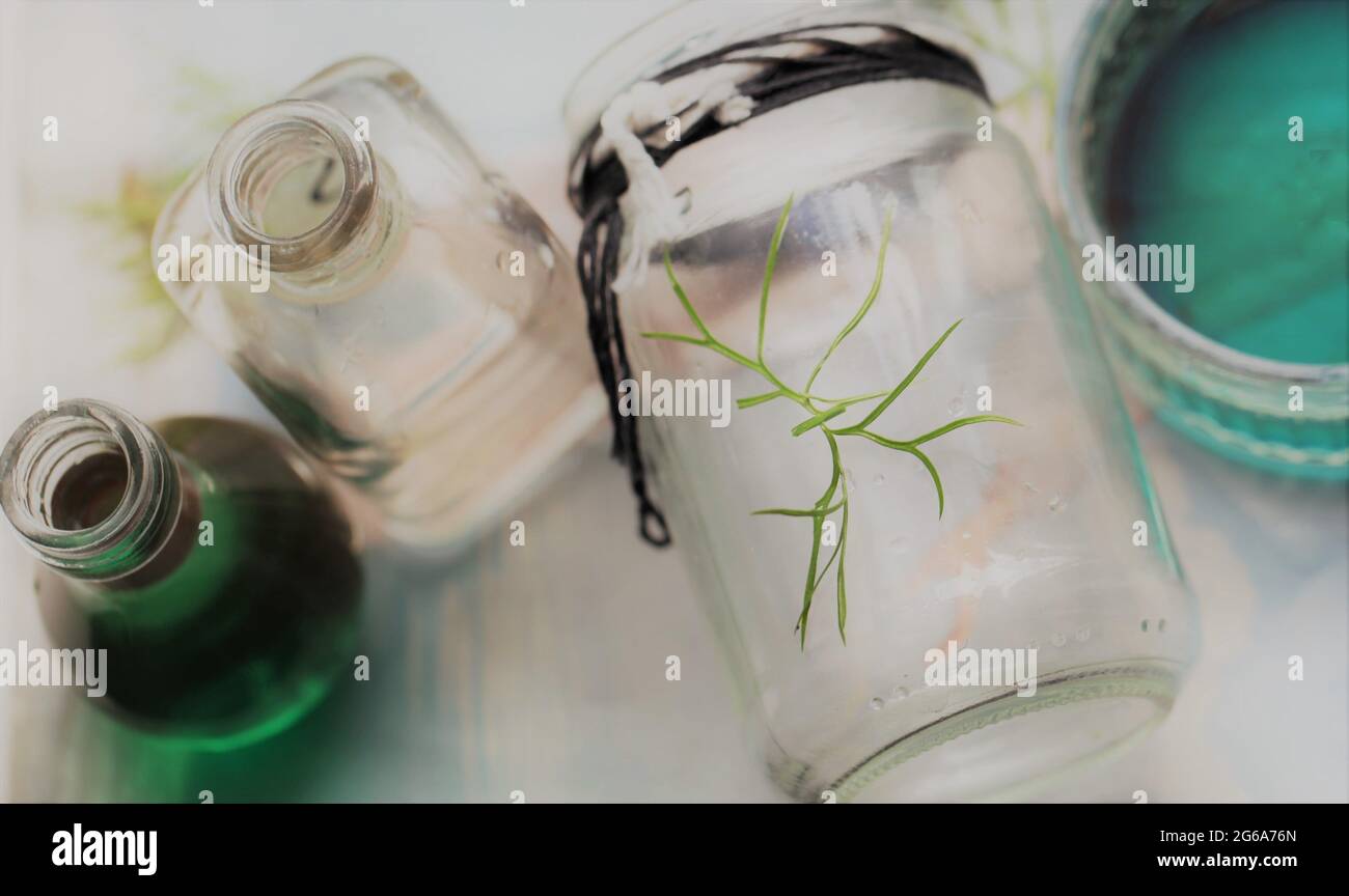 Little Vessels / Conceptual - High-angle studio still of glassware ...