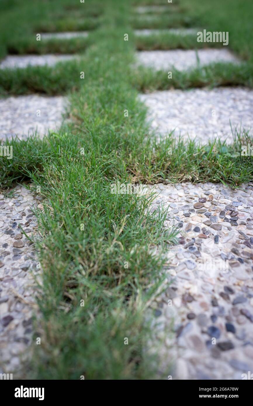 Pedestrian path on green grass outdoors Stock Photo - Alamy